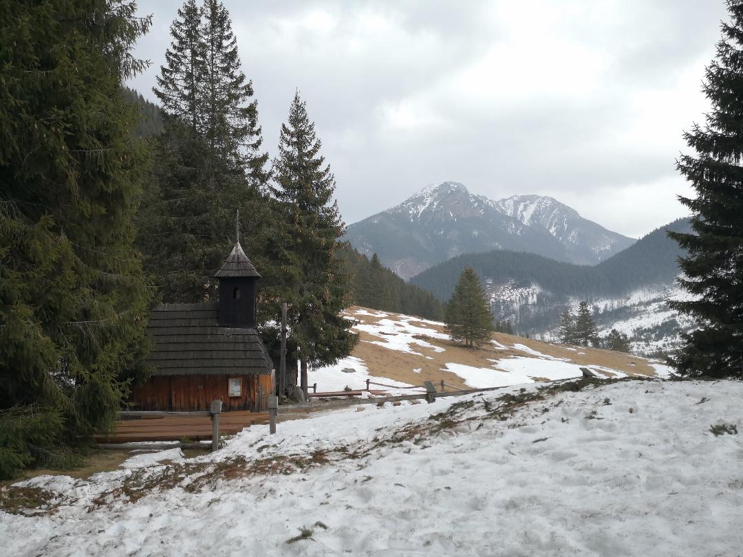 Gwiazda Polski w Dolinie Chochołowskiej | Damosfera